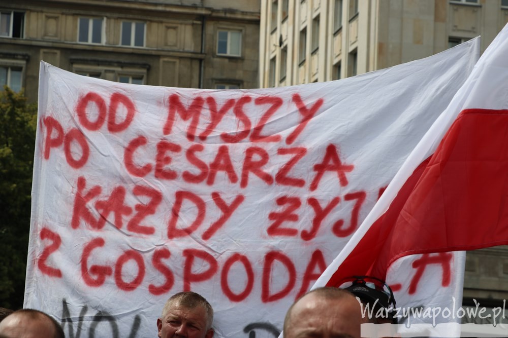 Protesty rolnicze w Polsce i w Europie mają jeden cel. Poprawę sytuacji ...