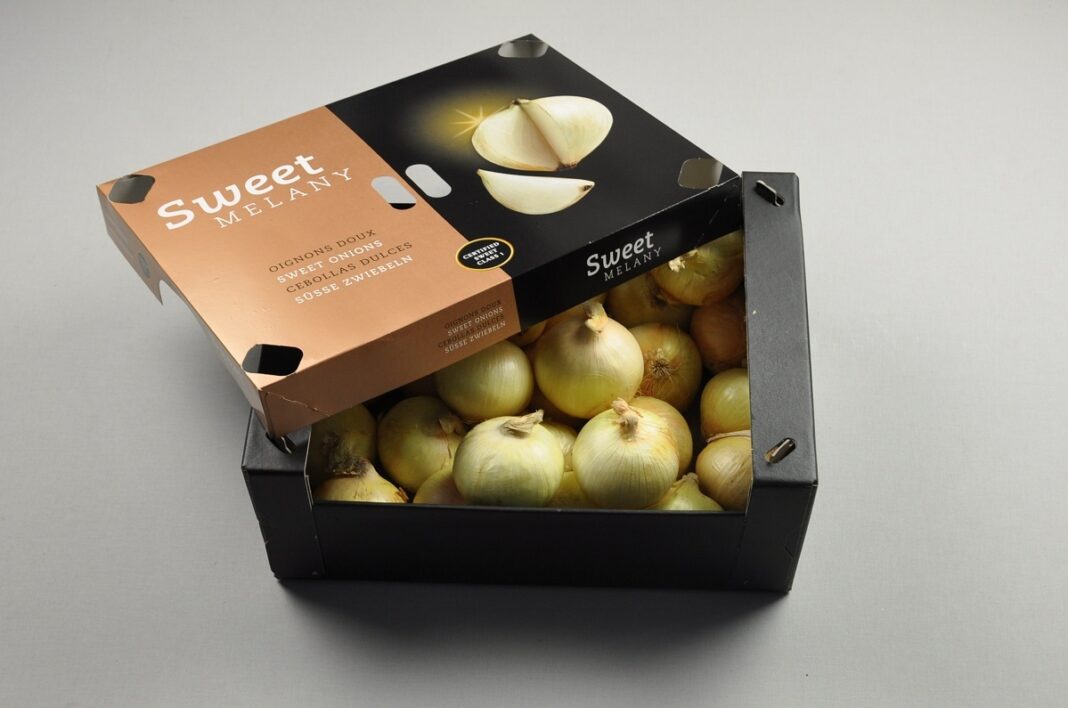 Cebula cukrowa na topie! - Warzywa Polowe